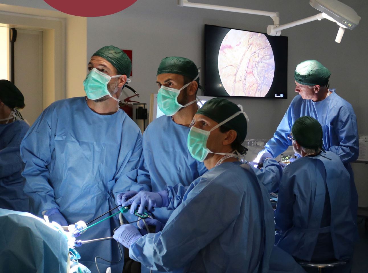 Anatomy Lab - Humanitas Edu